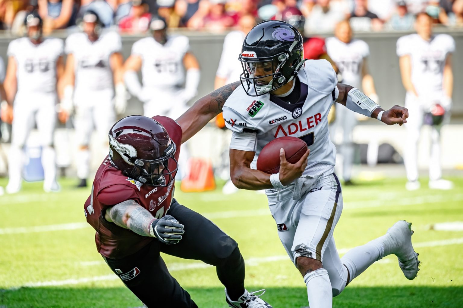 Thunder verpflichtet Quarterback Sullivan - Foot Bowl